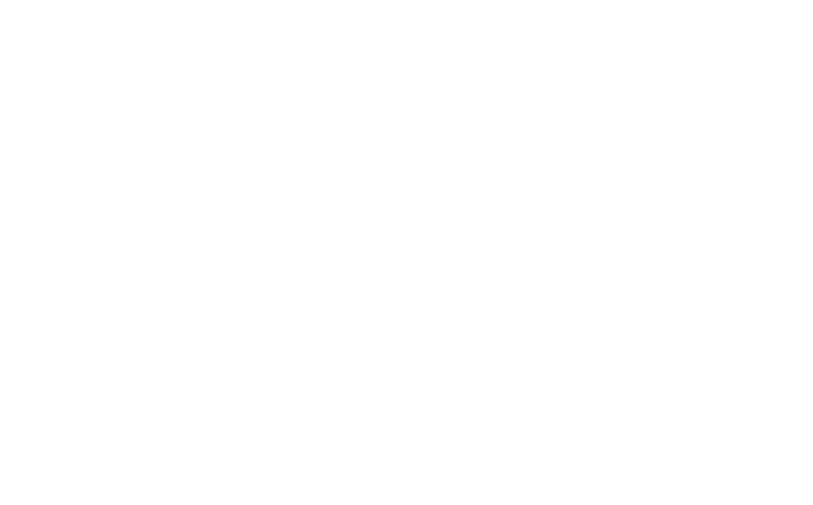 Middlewick House Open Garden