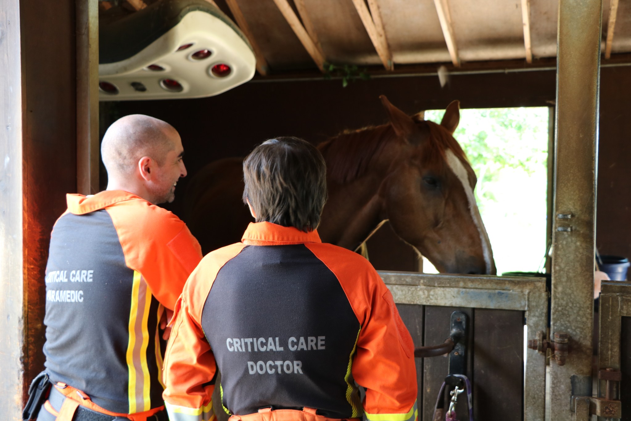 Gallery – Middlewick House Open Garden