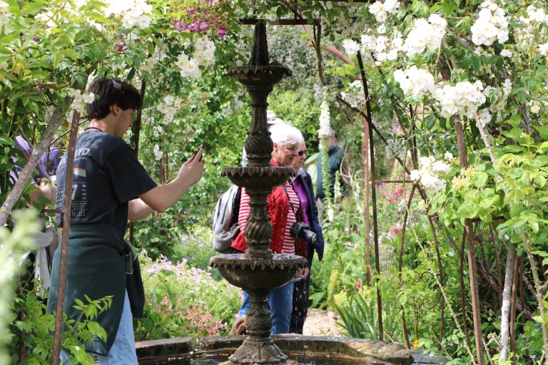 Gallery – Middlewick House Open Garden