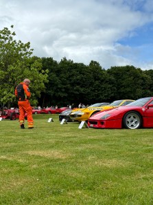 Gallery – Middlewick House Open Garden